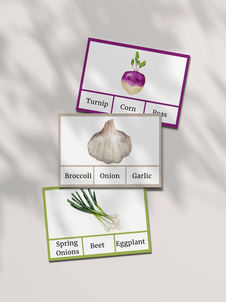 Matching Vegetables Flash Cards Educational Game Memory - Etsy