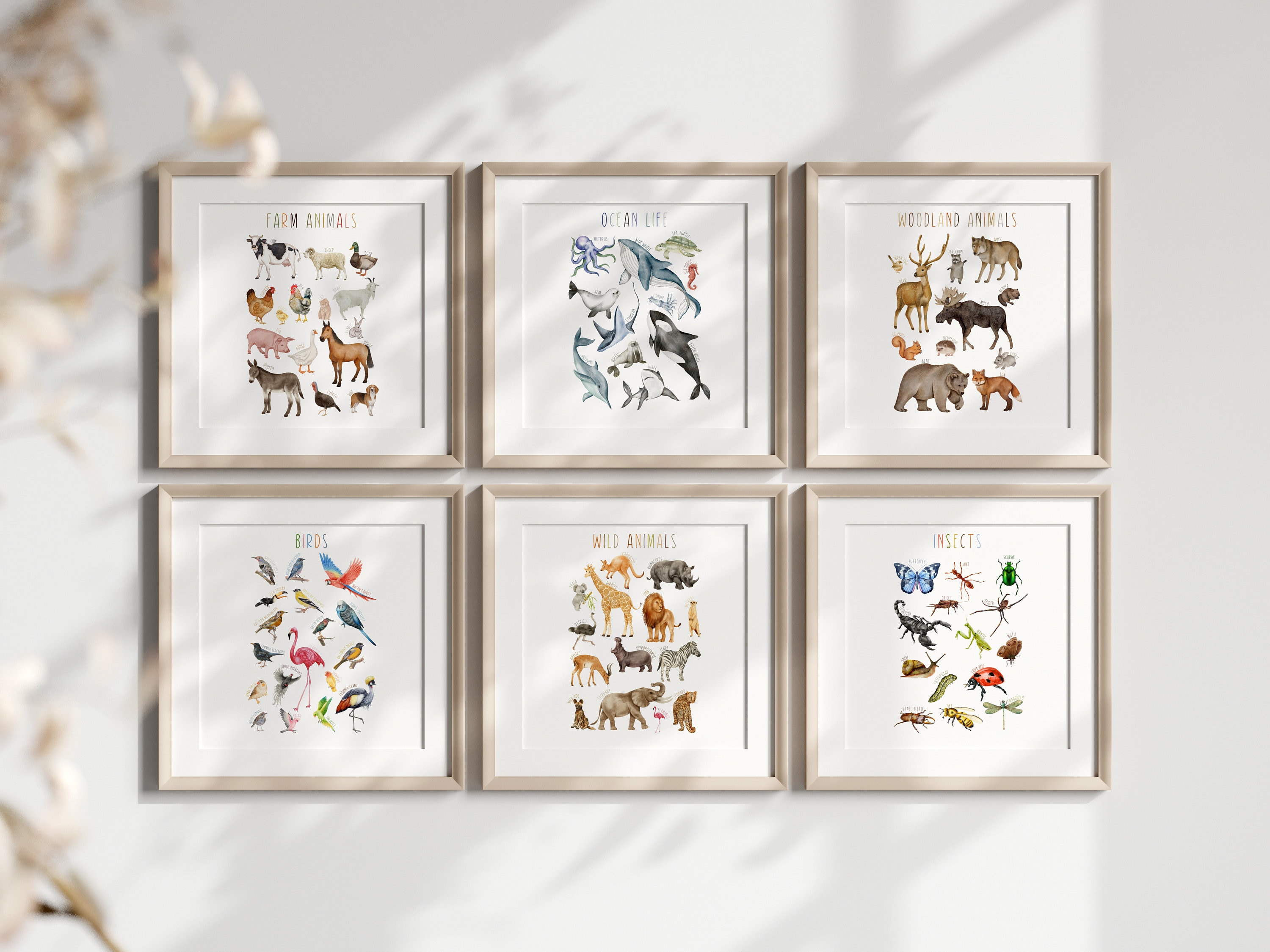 Set of 6 Educational Posters • Kids Animal Posters • Classroom Decor ...