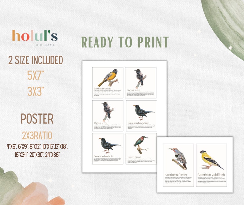 American Birds Cards •birds Printable Flashcards •birds Poster ...