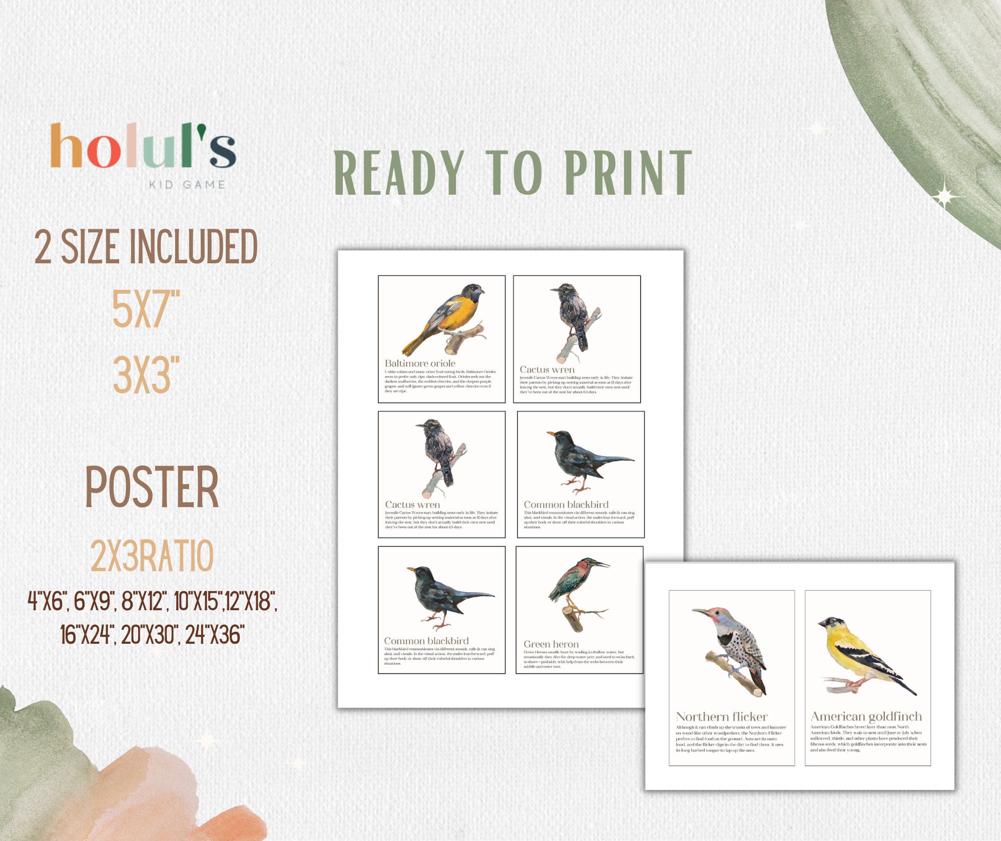 American Birds Cards •birds Printable Flashcards •birds Poster ...