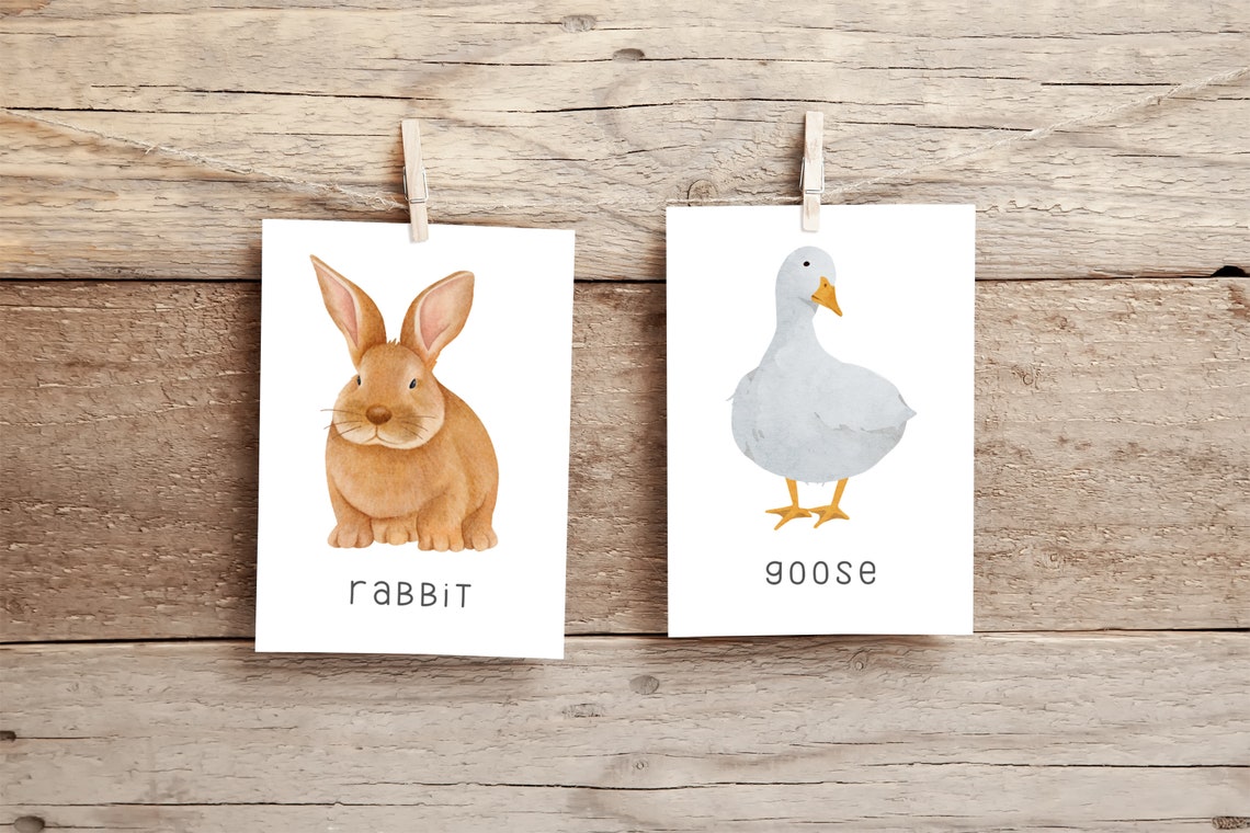 20 Farm Animals Cards •montessori Flash Cards •pre-school Cards •farm ...