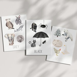 11 Children’s Nature Colour Flashcards Printable • Kids Colour Cards ...