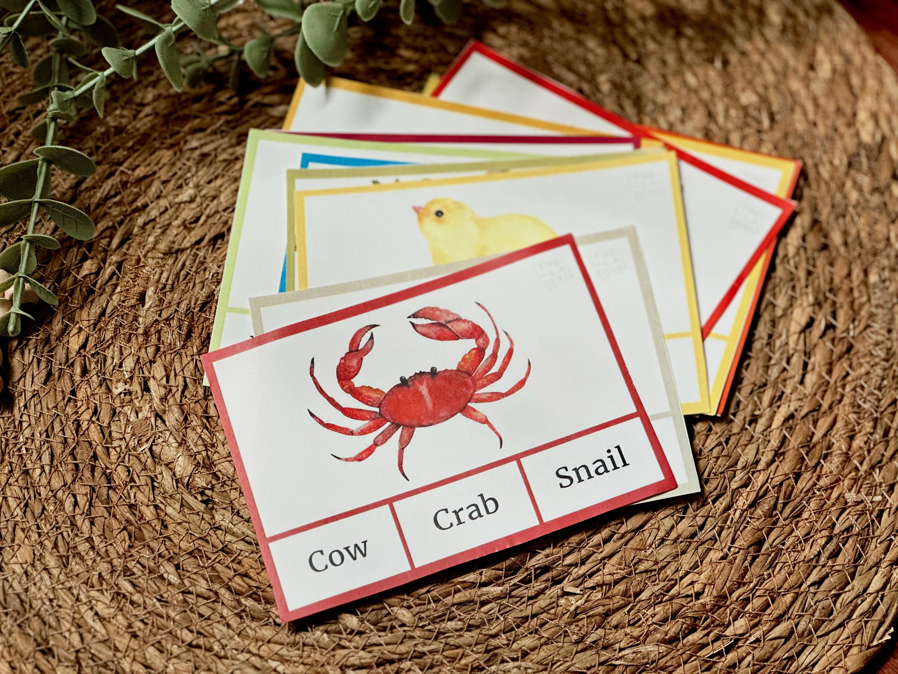 30 Matching Animals Flash Cards • Printable Game for Preschoolers ...
