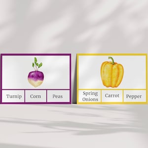Matching Vegetables Flash Cards Educational Game Memory - Etsy