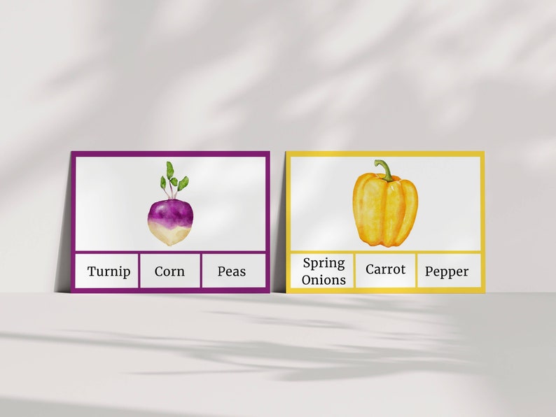 Matching Vegetables Flash Cards Educational Game Memory - Etsy