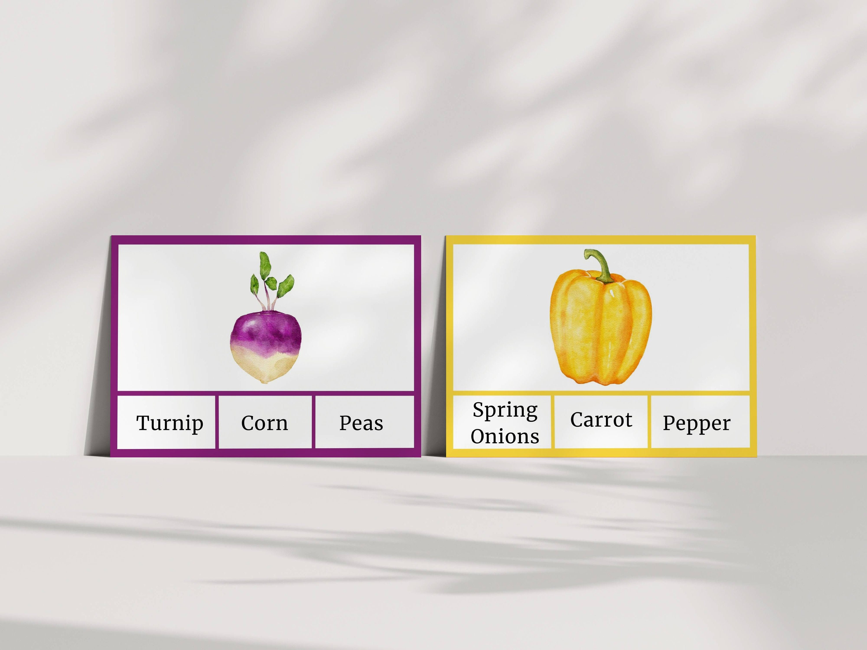 Matching Vegetables Flash Cards Educational Game Memory - Etsy