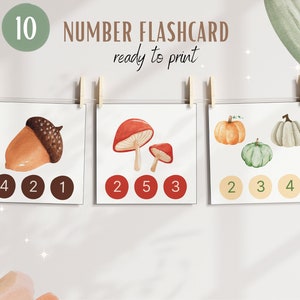 10 Number Flash Cards •count and Clip • Number Cards 1-10 •montessori ...