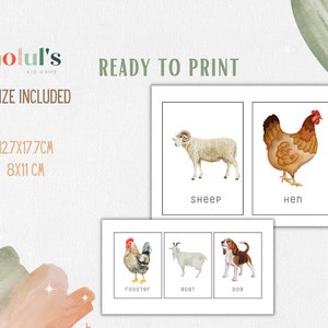 20 Farm Animals Cards •montessori Flash Cards •pre-school Cards •farm ...