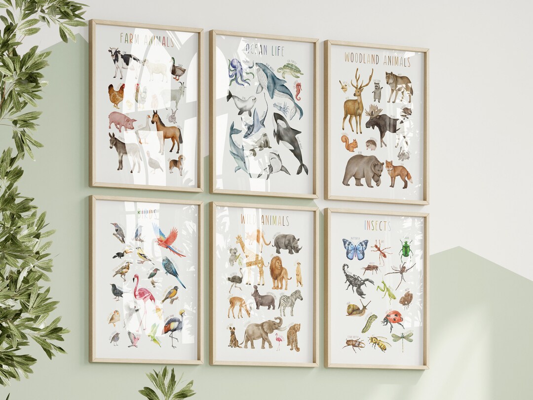 Set of 6 Educational Posters • Kids Animal Posters • Classroom Decor ...