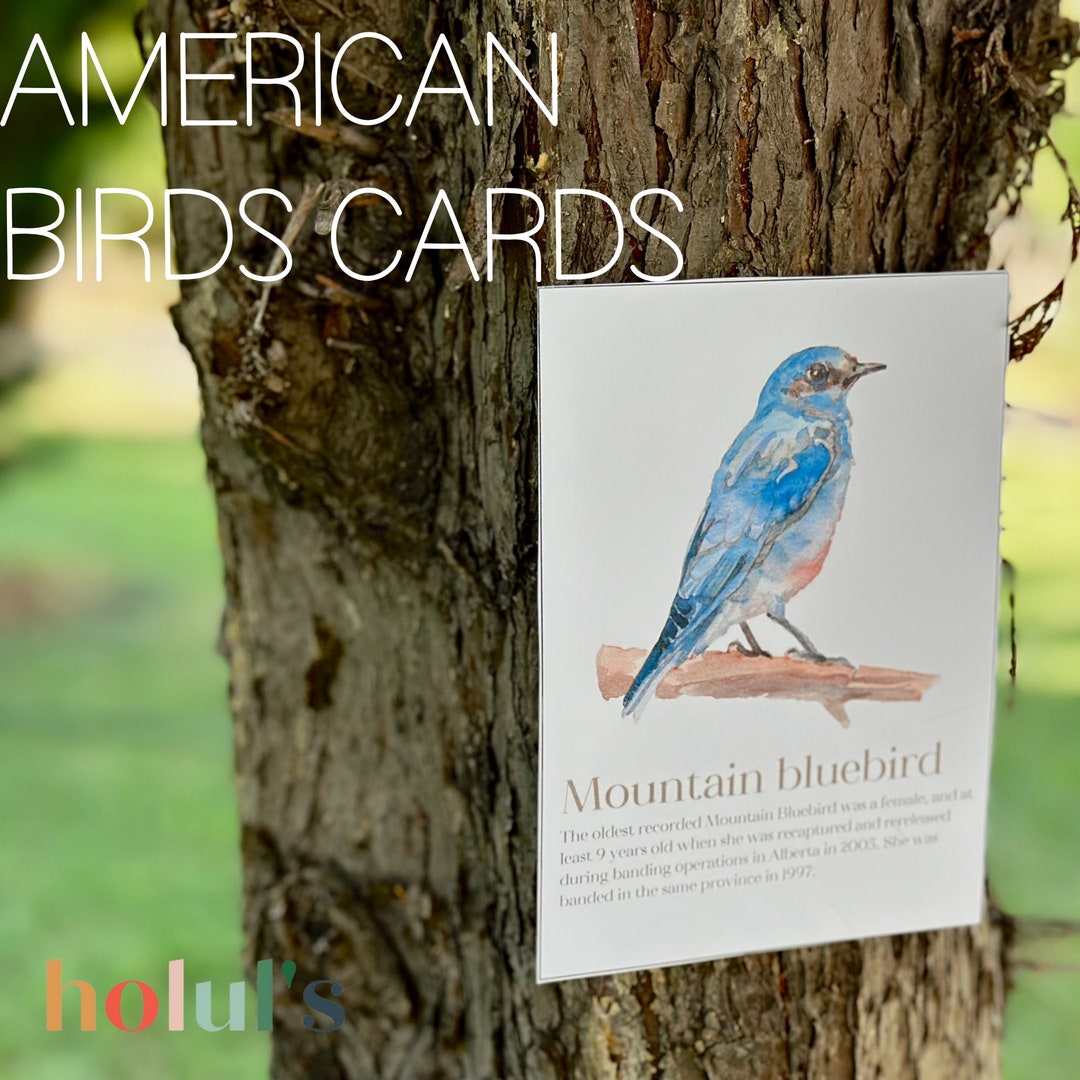 American Birds Cards •birds Printable Flashcards •birds Poster ...