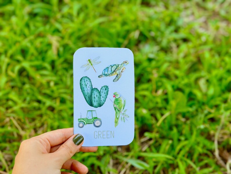 11 Children’s Nature Colour Flashcards Printable • Kids Colour Cards ...