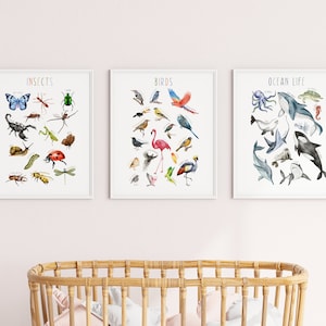 Set of 6 Educational Posters • Kids Animal Posters • Classroom Decor ...