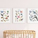 Set of 6 Educational Posters • Kids Animal Posters • Classroom Decor ...