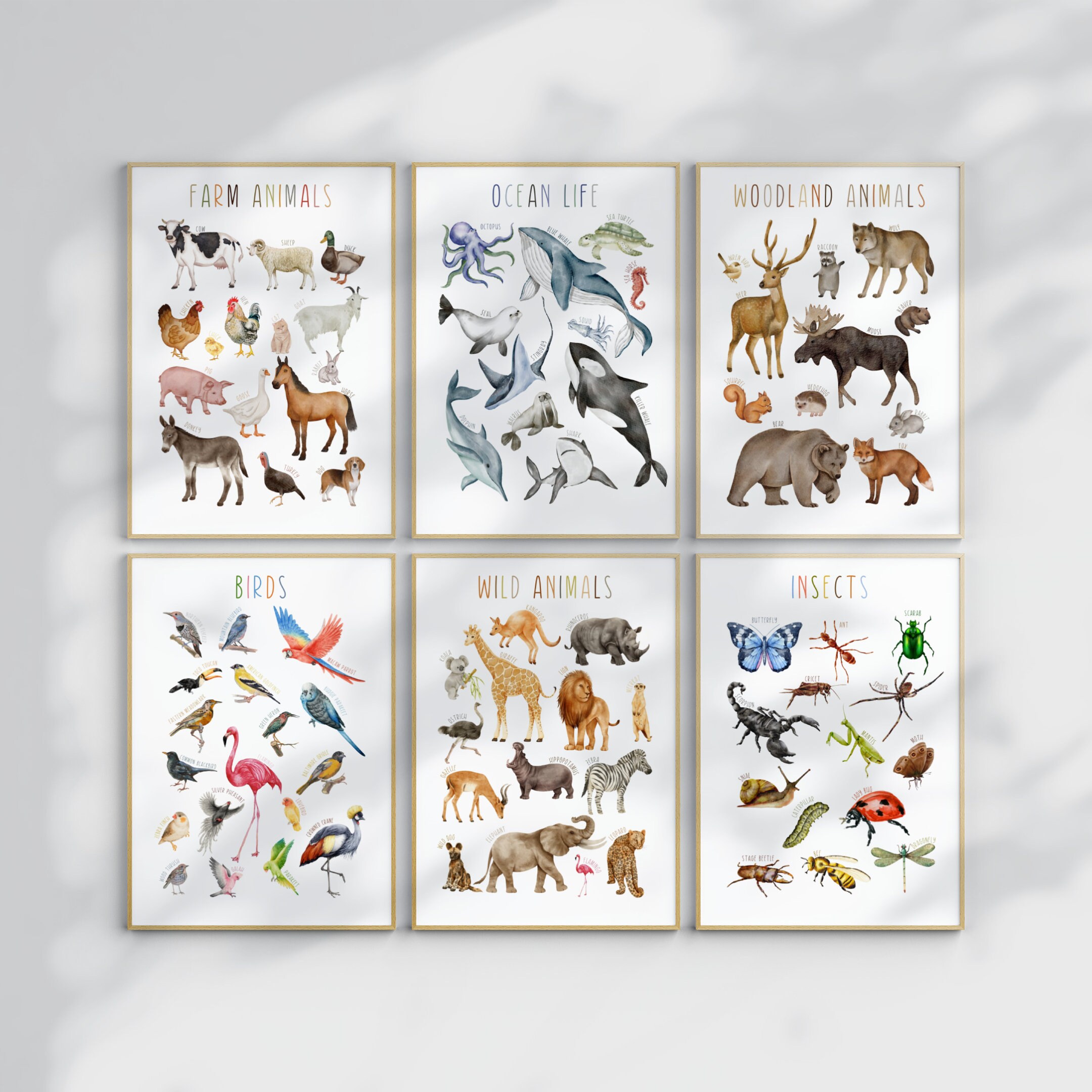 Set of 6 Educational Posters • Kids Animal Posters • Classroom Decor ...
