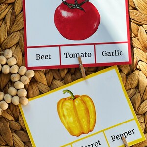 30 Matching Vegetables Flash Cards • Educational Game • Memory Game ...