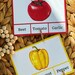 Matching Vegetables Flash Cards Educational Game Memory - Etsy