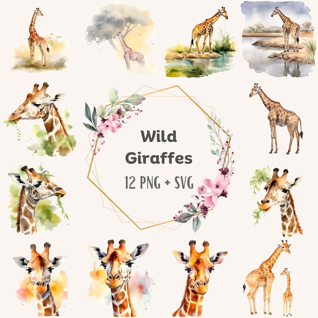 Watercolor Wild Giraffes Clipart, 300 Dpi PNG & SVG, Savanna and Plain ...