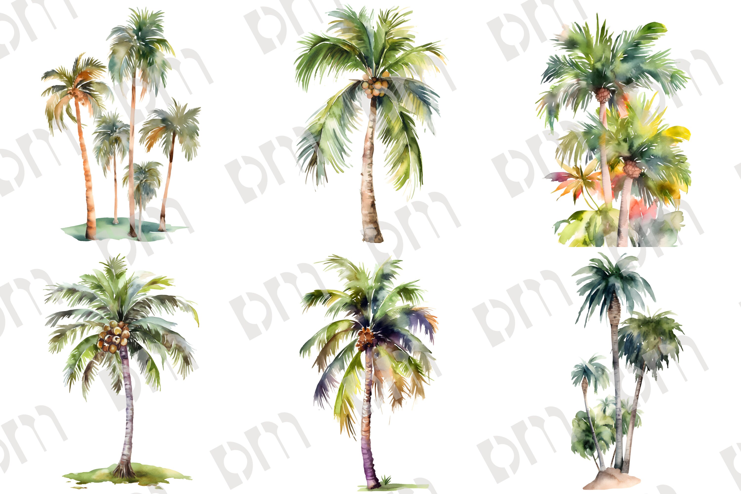 Watercolor Palm Tree Clipart, 300 Dpi PNG & SVG, Boho Palm Tree ...