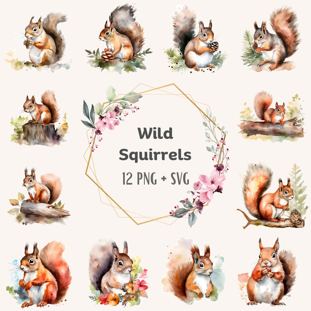 Watercolor Wild Squirrels Clipart, 300 Dpi PNG & SVG, Forest and Jungle ...