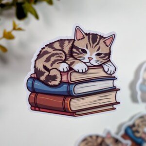 Cat Sleeping on Stack of Books Sticker - Etsy