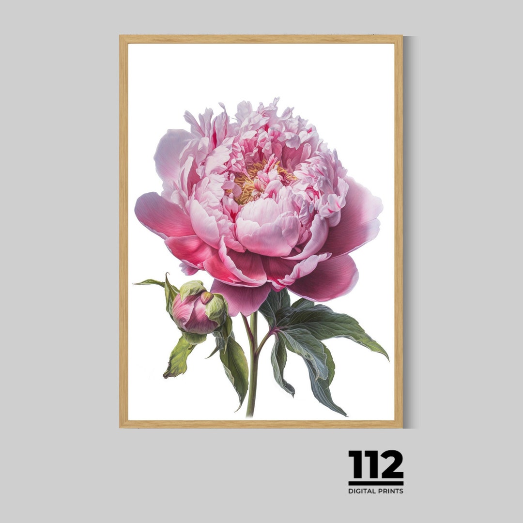 Pink Peony Printable Art, Flowers Collection, Digital Print, Watercolor ...