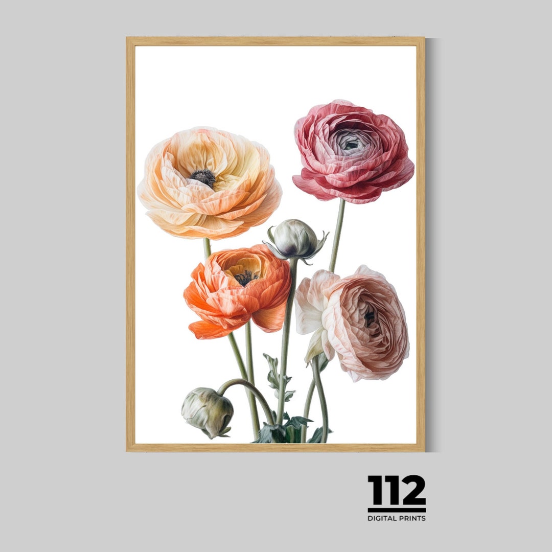 Pastel Ranunculus Printable Art, Flowers Collection, Digital Print ...