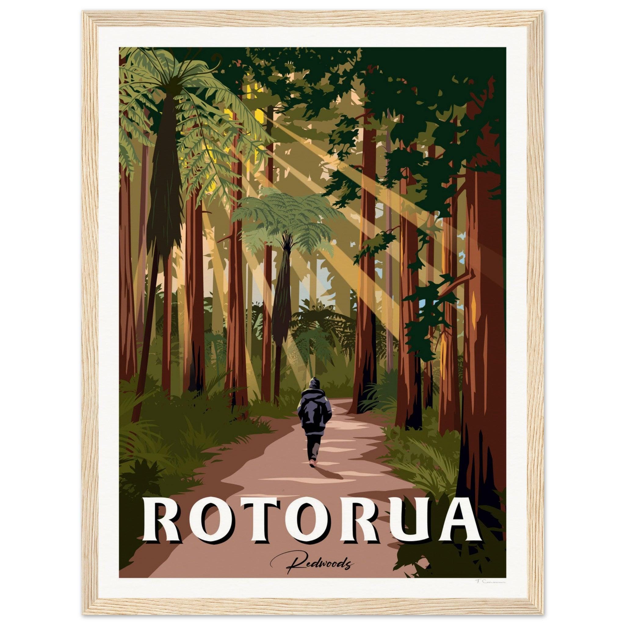 Rotorua - Redwoods Forest - Travel Poster, New Zealand - Etsy