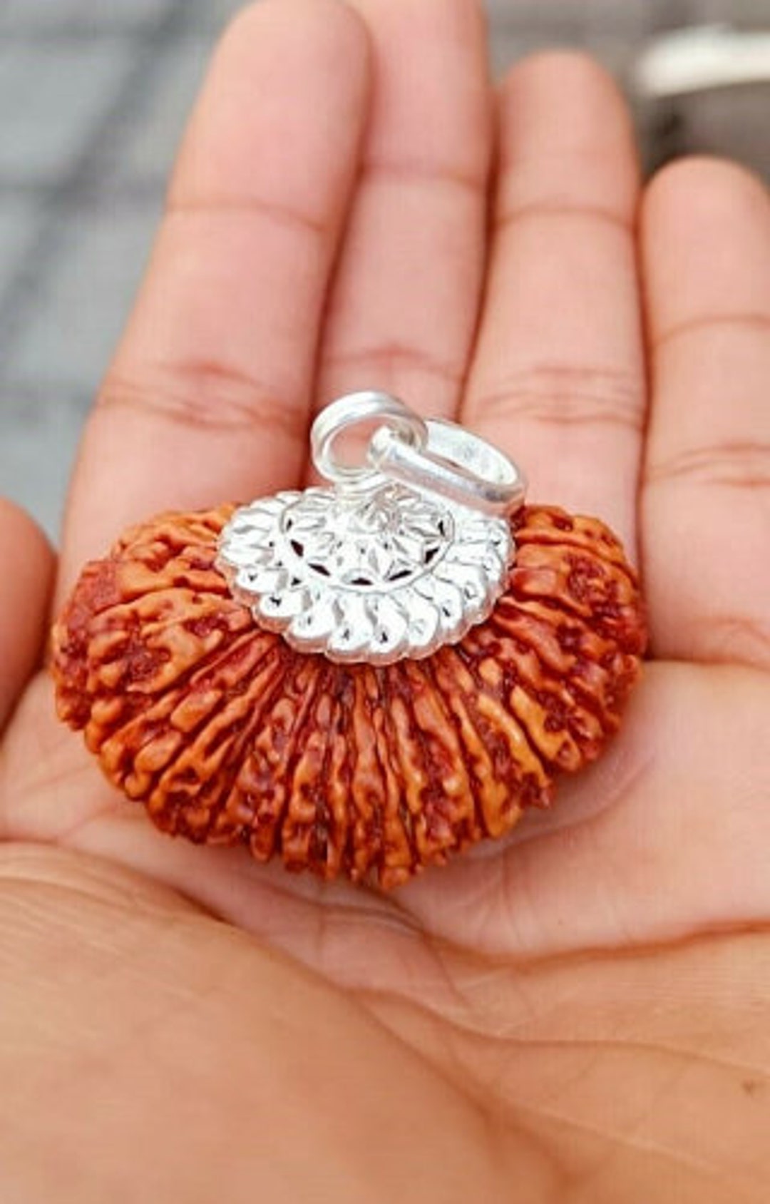 21 Mukhi Rudraksha: Rare and Sacred Bead, Certified A by IGL Lab - Etsy