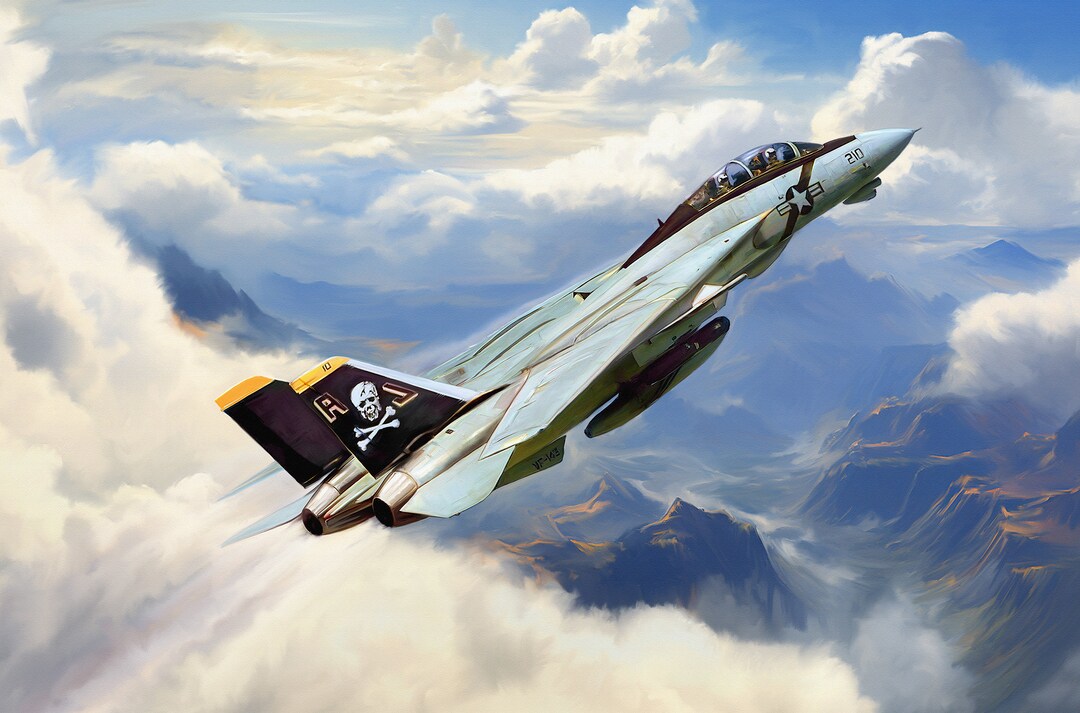 F14 Tomcat Fighter Jet Painting Military Aviation Signed Limited ...