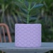 Rubiks Cube Plant Pot 3D Printed Plant-based Plastic Planter Retro ...