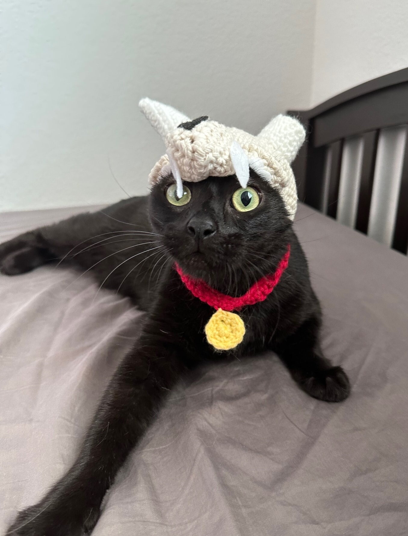 King Clawthorne the Owl House Pet Hat Costume Crochet - Etsy