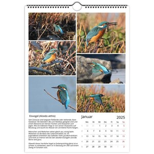 Wall Calendar 2025 With Birds - Etsy