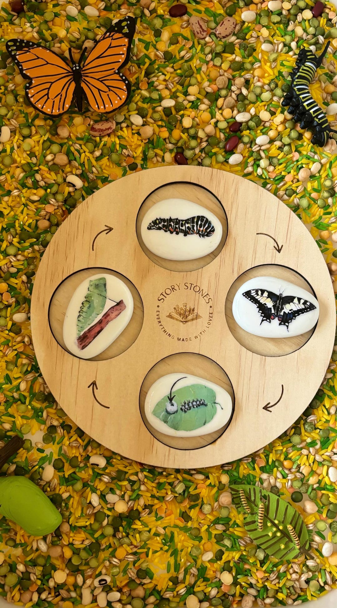 Butterfly Life Cycle Bundle - Etsy