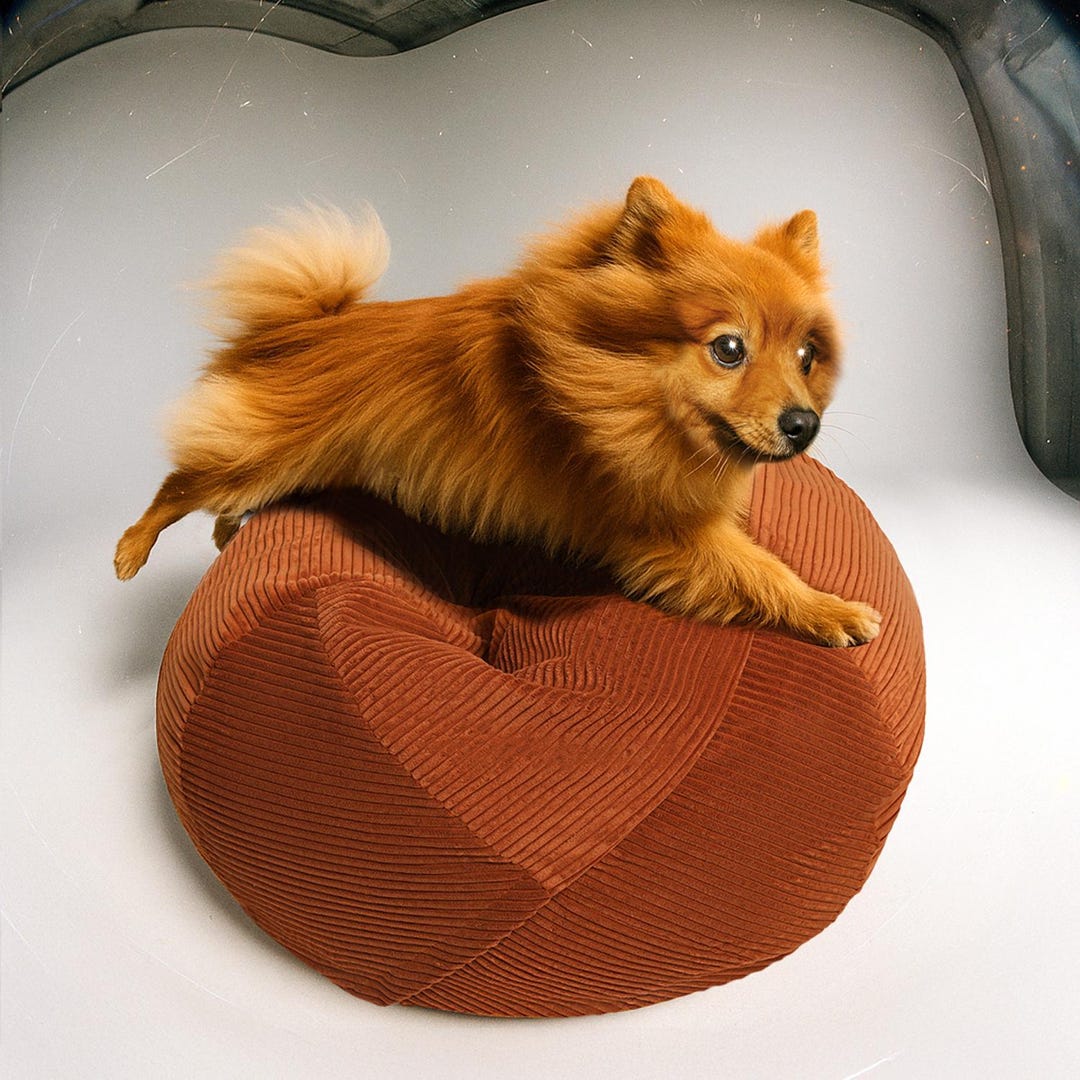 Orange Dog Bed, Handmade Cat Bed, Custom Puppy Bed, Small Dog Couch ...