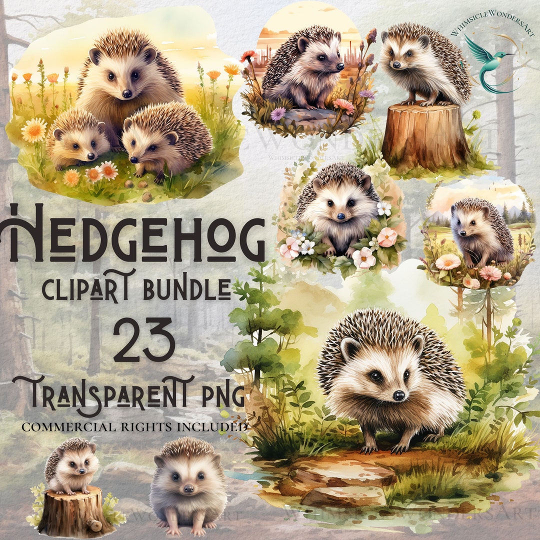 Watercolor Hedgehog Clipart Bundle High Quality PNG Digital Download ...