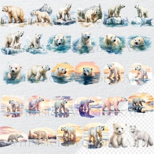 Watercolor Arctic Animals Clipart Bundle High Quality PNG Digital ...