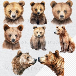 Watercolor Bear Clipart Bundle High Quality PNG Digital Download ...