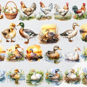 Watercolor Farm Animals Clipart Mega Bundle High Quality PNG Digital ...