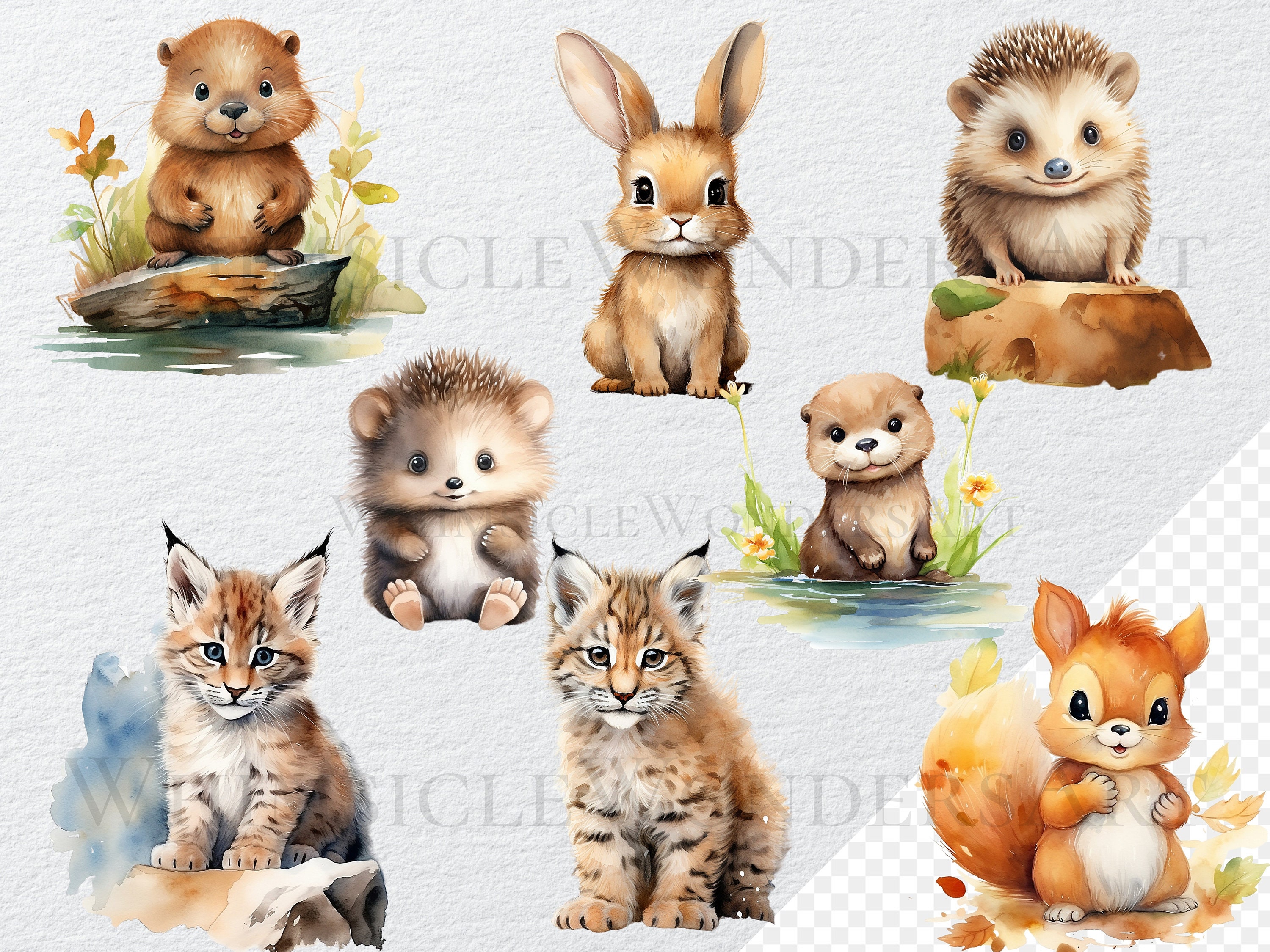 Cute Forest Animal Clipart Bundle, Commercial Use (PNG Digital Download ...