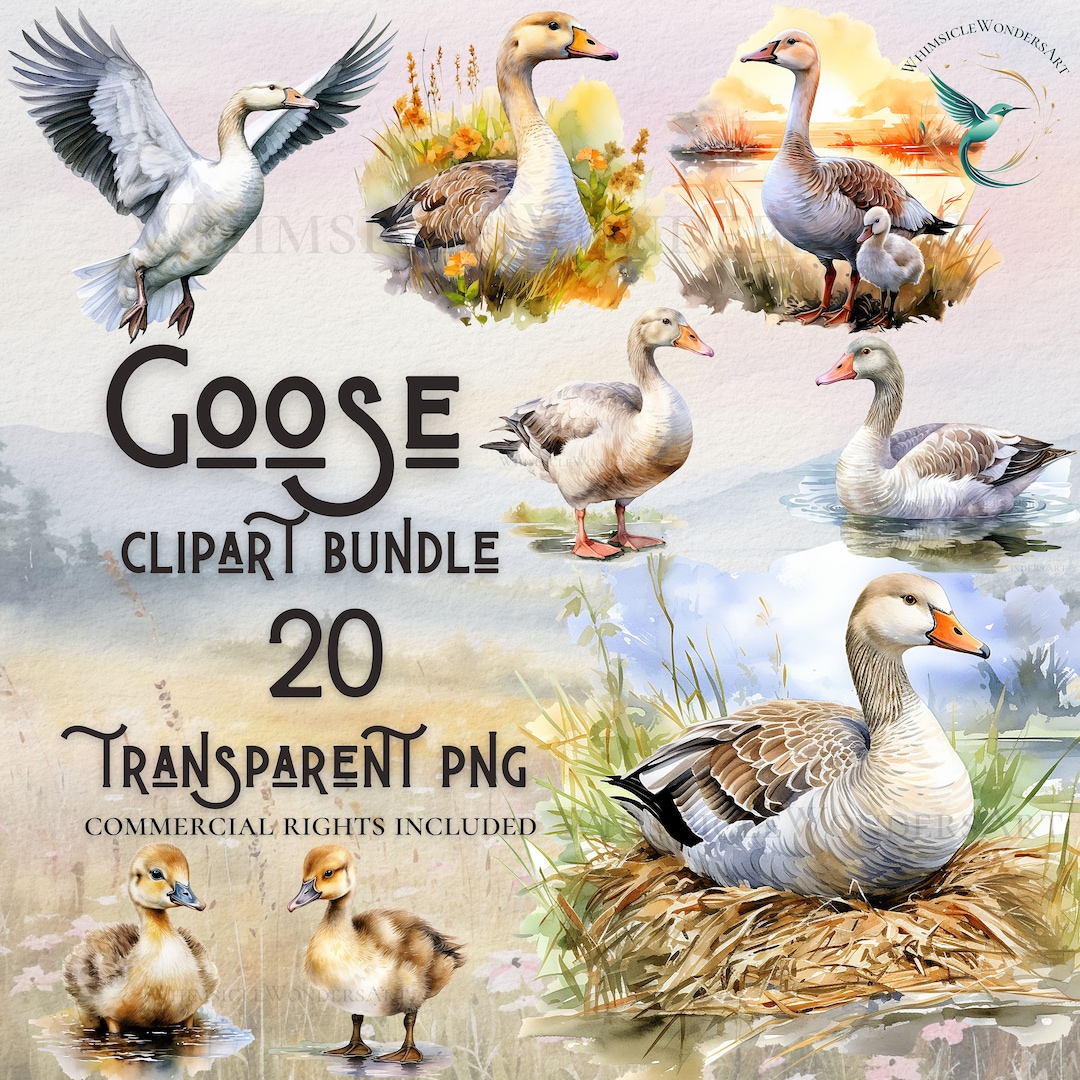 Watercolor Goose Clipart Bundle 20 High Quality PNG Digital Download ...