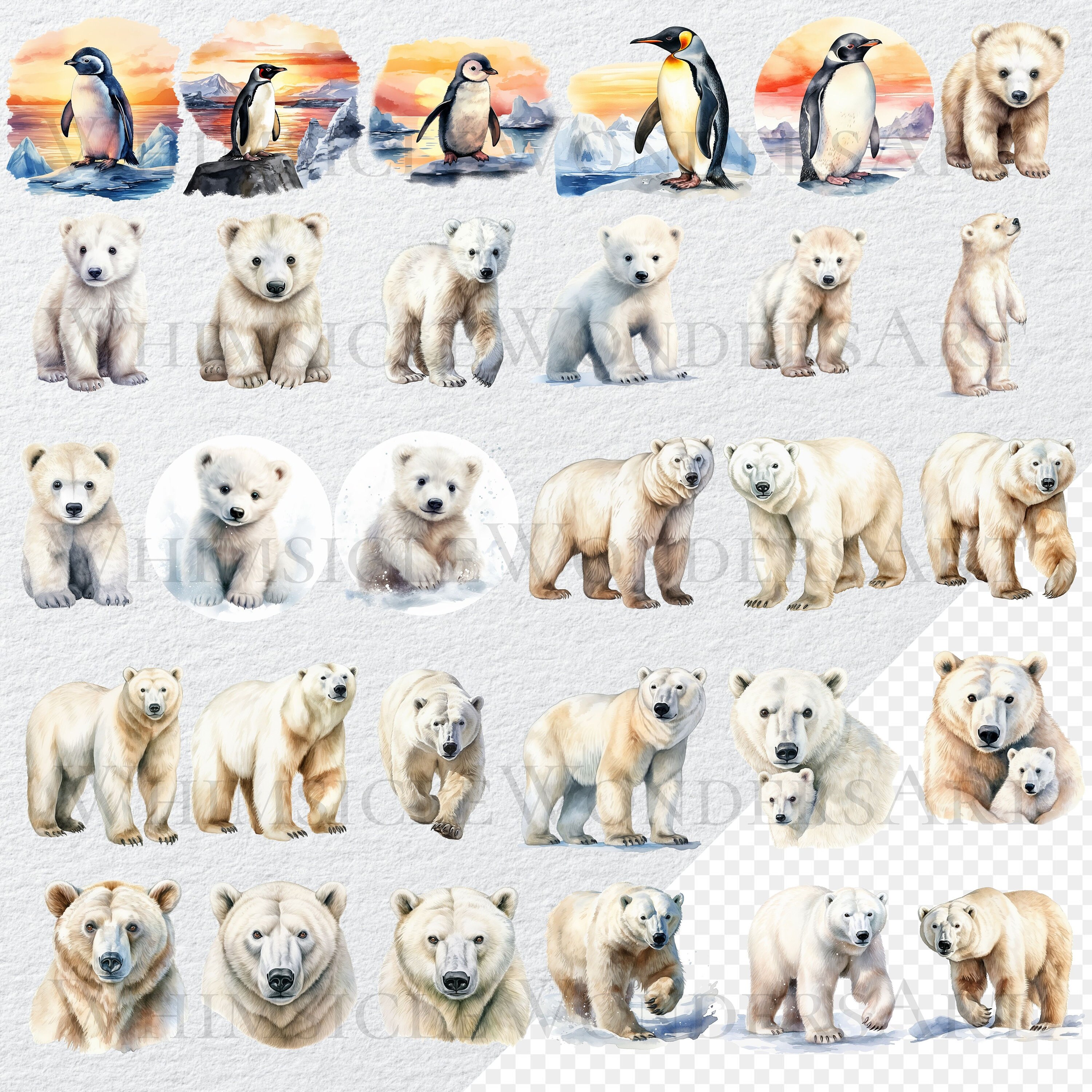 Watercolor Arctic Animals Clipart Bundle High Quality PNG Digital ...