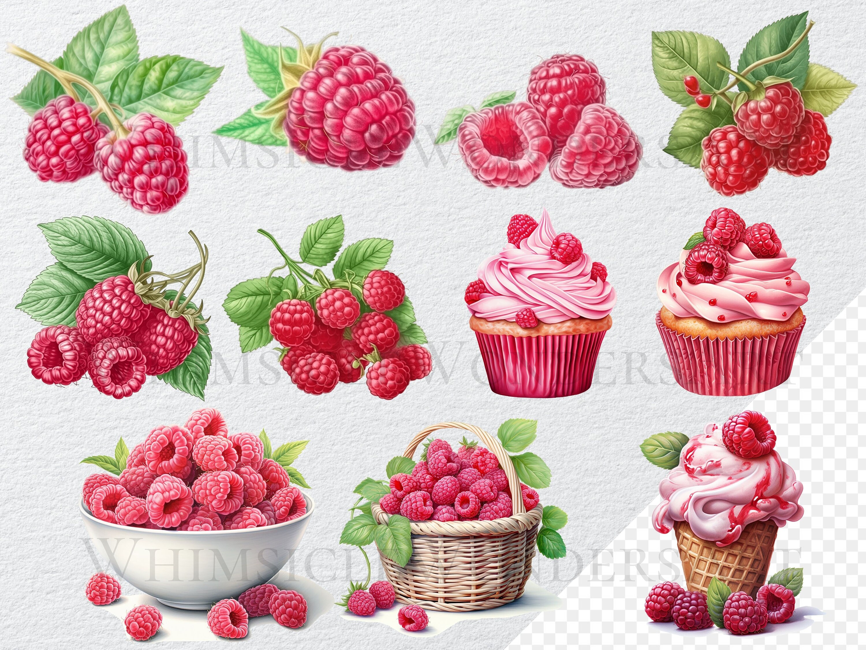 Watercolor Raspberry Clipart Bundle, Transparent PNG (digital Download ...