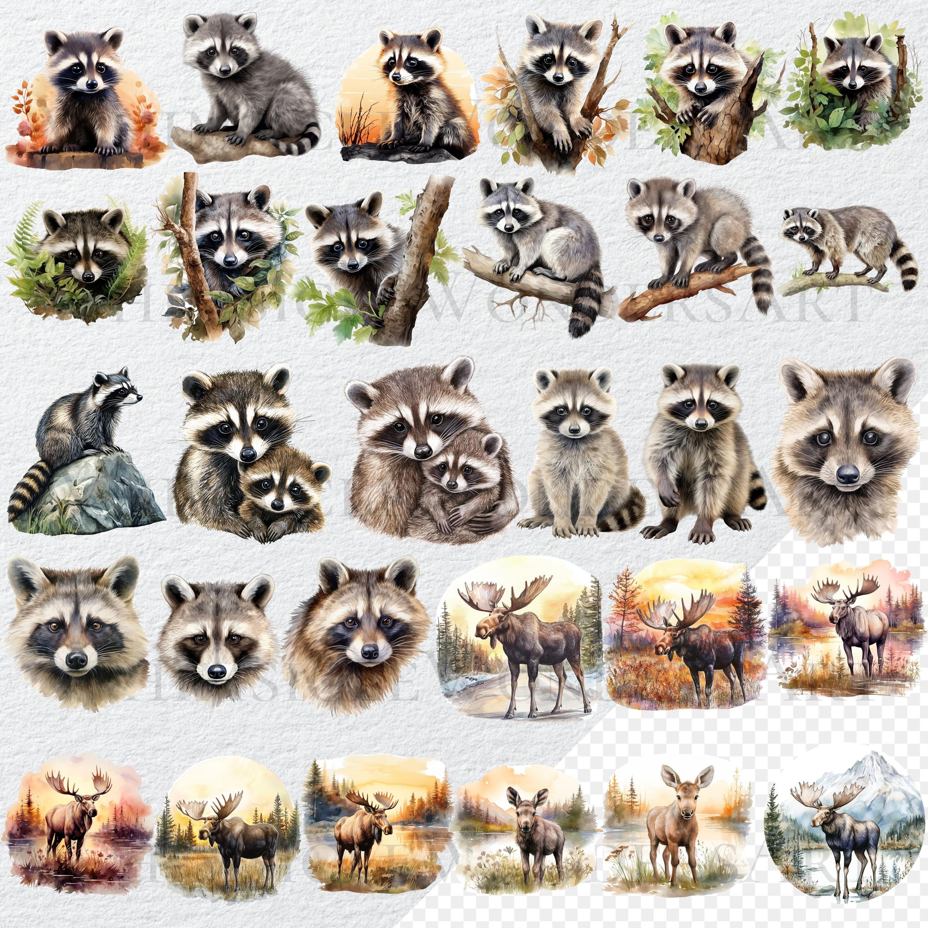 Watercolor Forest Animals Clipart Bundle (PNG Digital Download) - Etsy