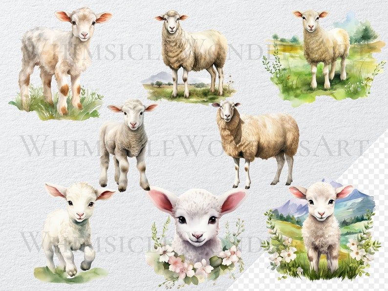 Watercolor Sheep Clipart Bundle 15 High Quality PNG Digital Download ...