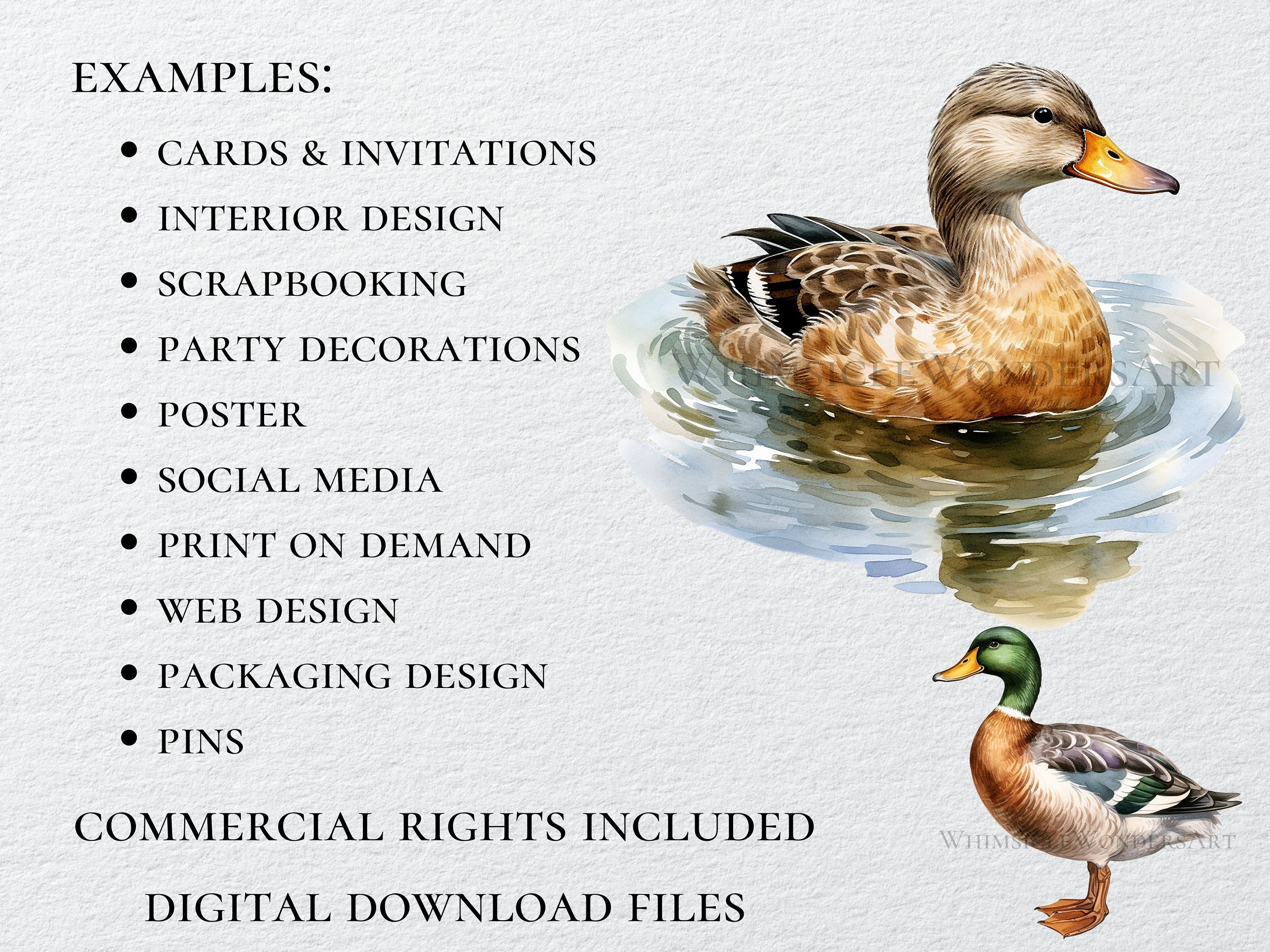 Watercolor Duck Clipart Bundle High Quality PNG Digital Download ...