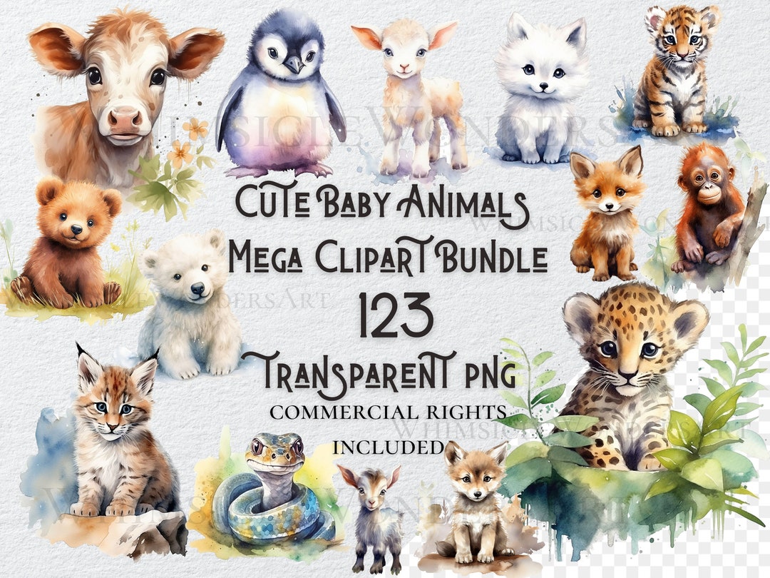 Cute Baby Animals Mega Clipart Bundle 123 High Quality PNG Digital ...