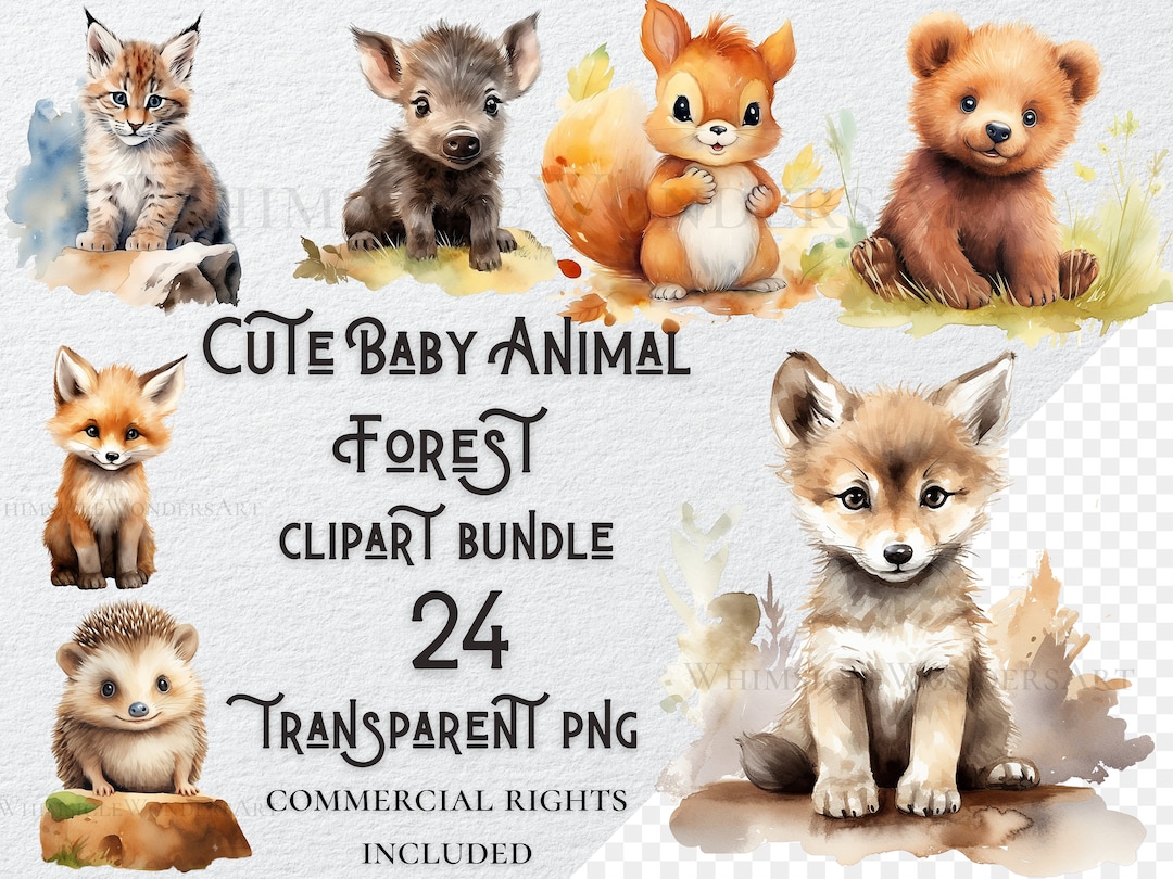 Cute Forest Animal Clipart Bundle 24 High Quality PNG Digital Download ...