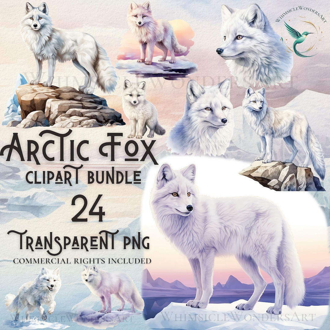 Watercolor Arctic Fox Clipart Bundle High Quality PNG Digital Download ...