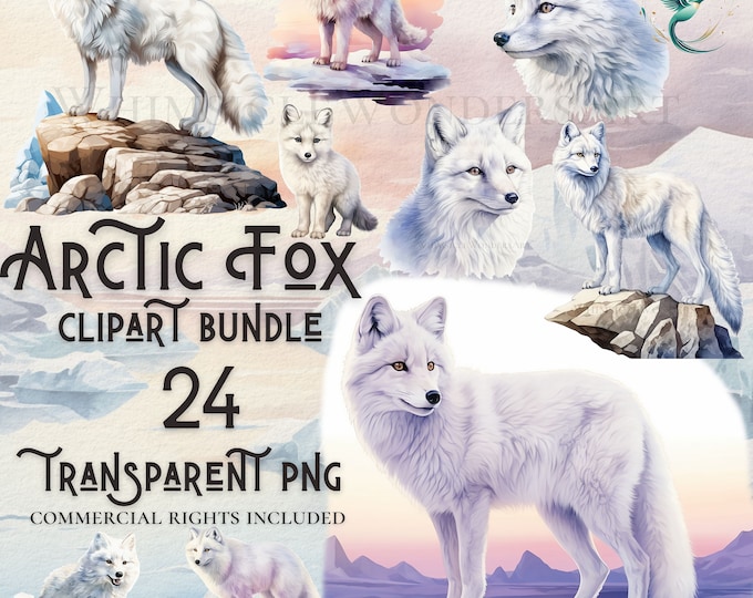 Cute Arctic Animals Clipart Bundle Transparent Background PNG Images ...