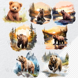 Watercolor Bear Clipart Bundle High Quality PNG Digital Download ...